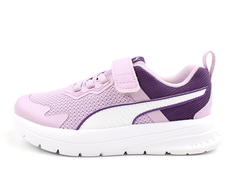 Buy Puma crushed berry grape mist sneaker Evolve Run at MilkyWalk